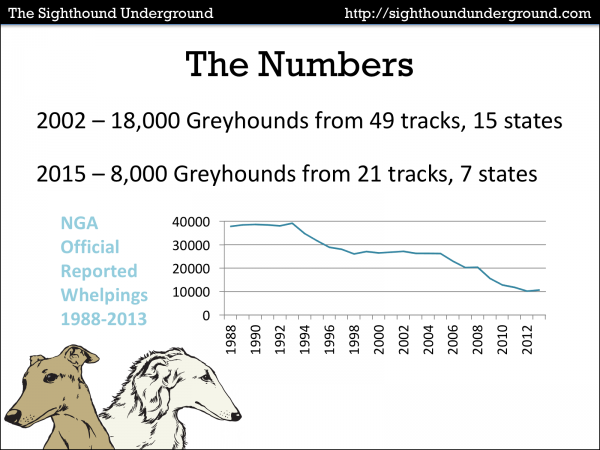 The Year of the Greyhound – The Sighthound Underground